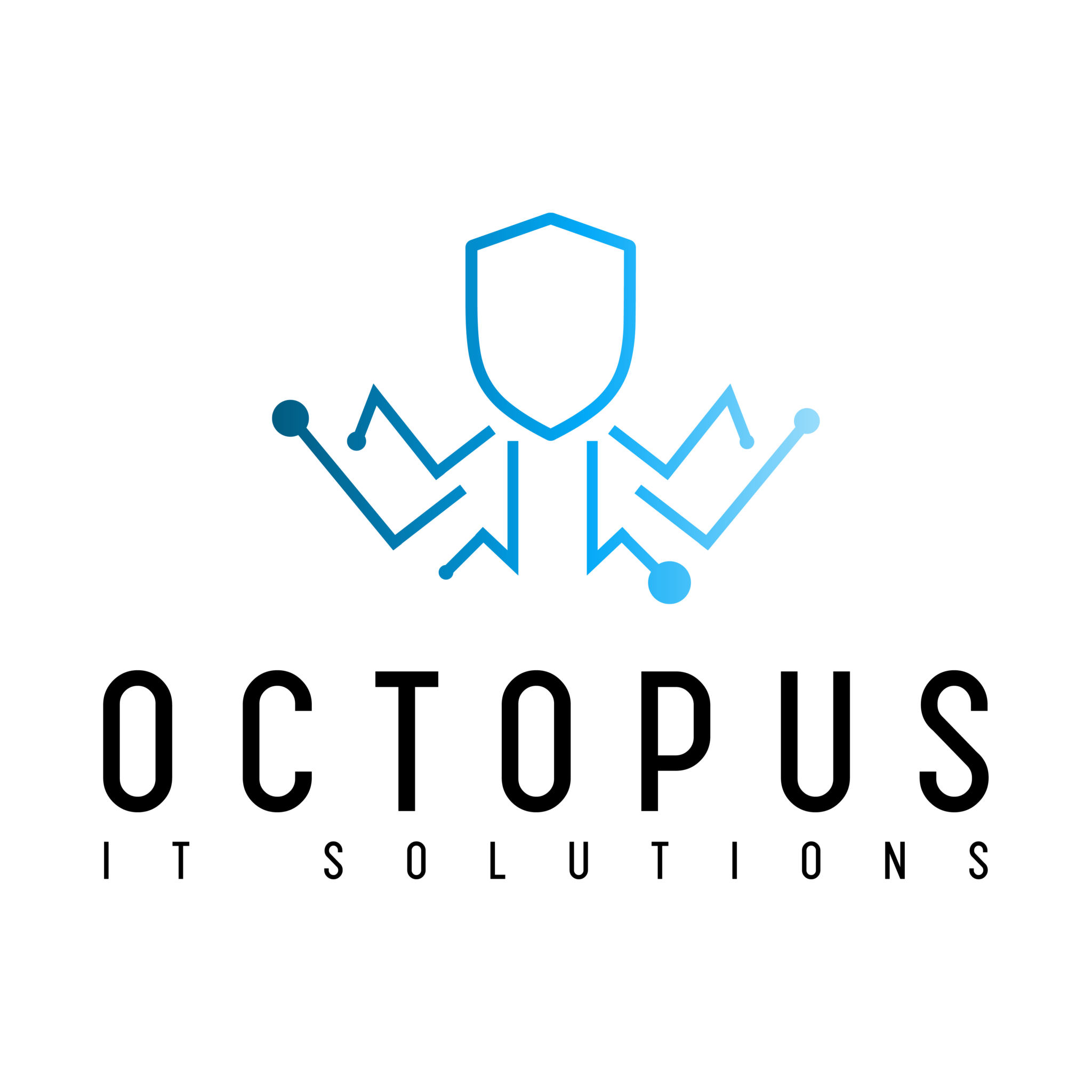 About – Octopus IT Solutions